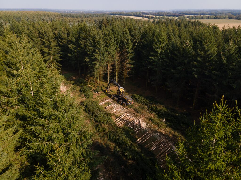 Grotskotning – Mälby Skog