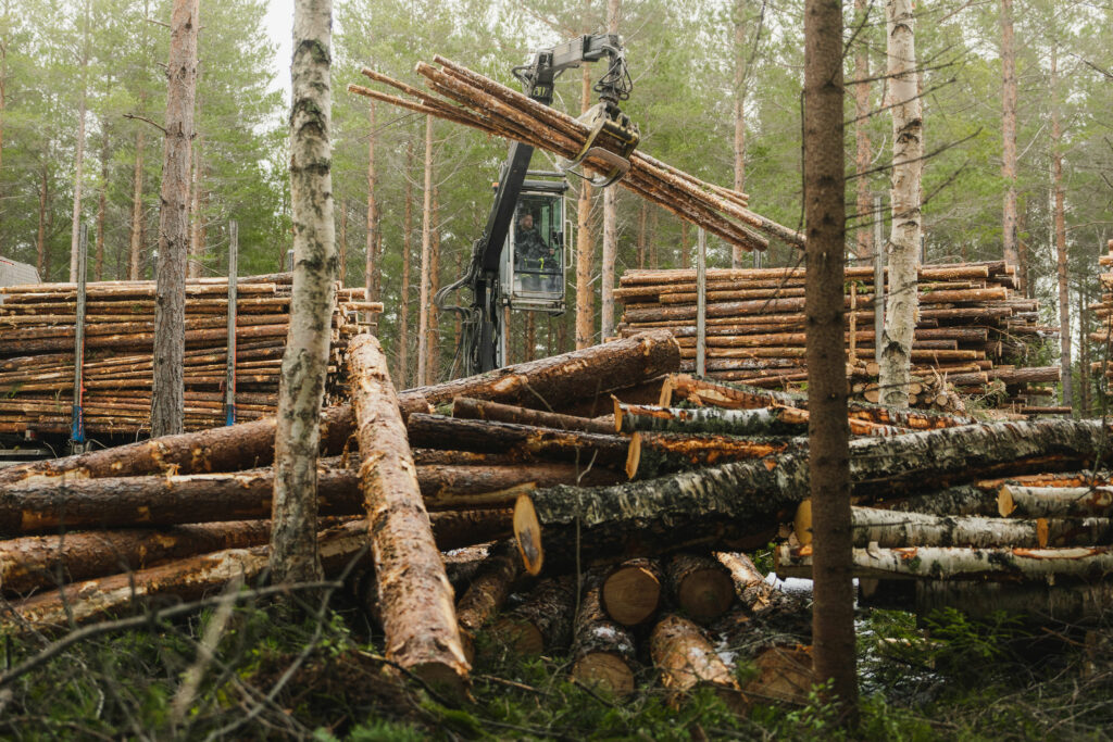 Avverkningsuppdrag – Mälby Skog