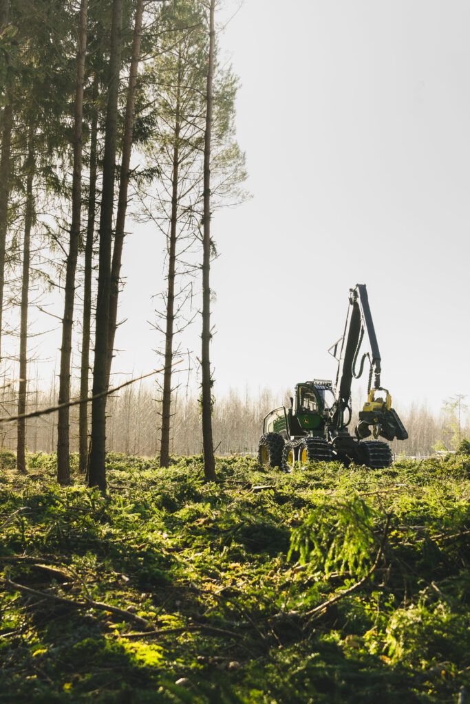 Föryngringsavverkning – Mälby Skog